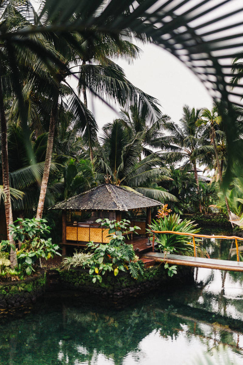 5 Grooming Tools a Dog Parent Must Have - mavendailyliving.com